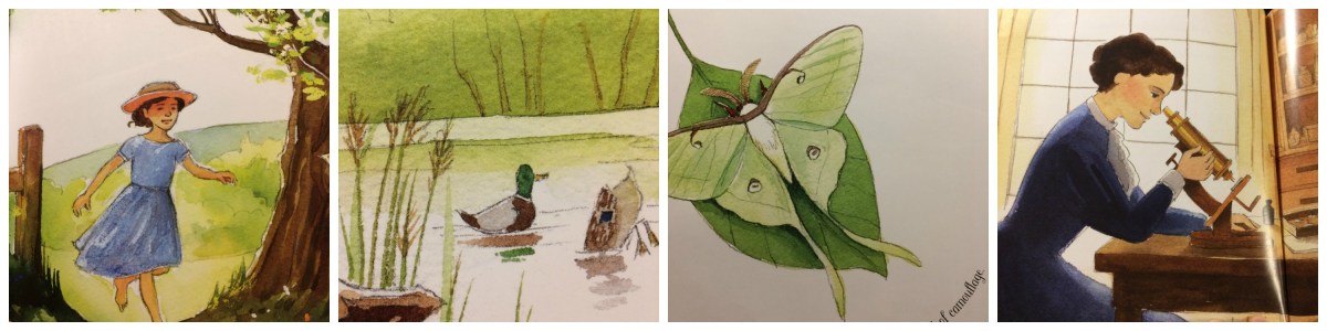 Review: Out Of School And Into Nature: The Anna Comstock Story ...