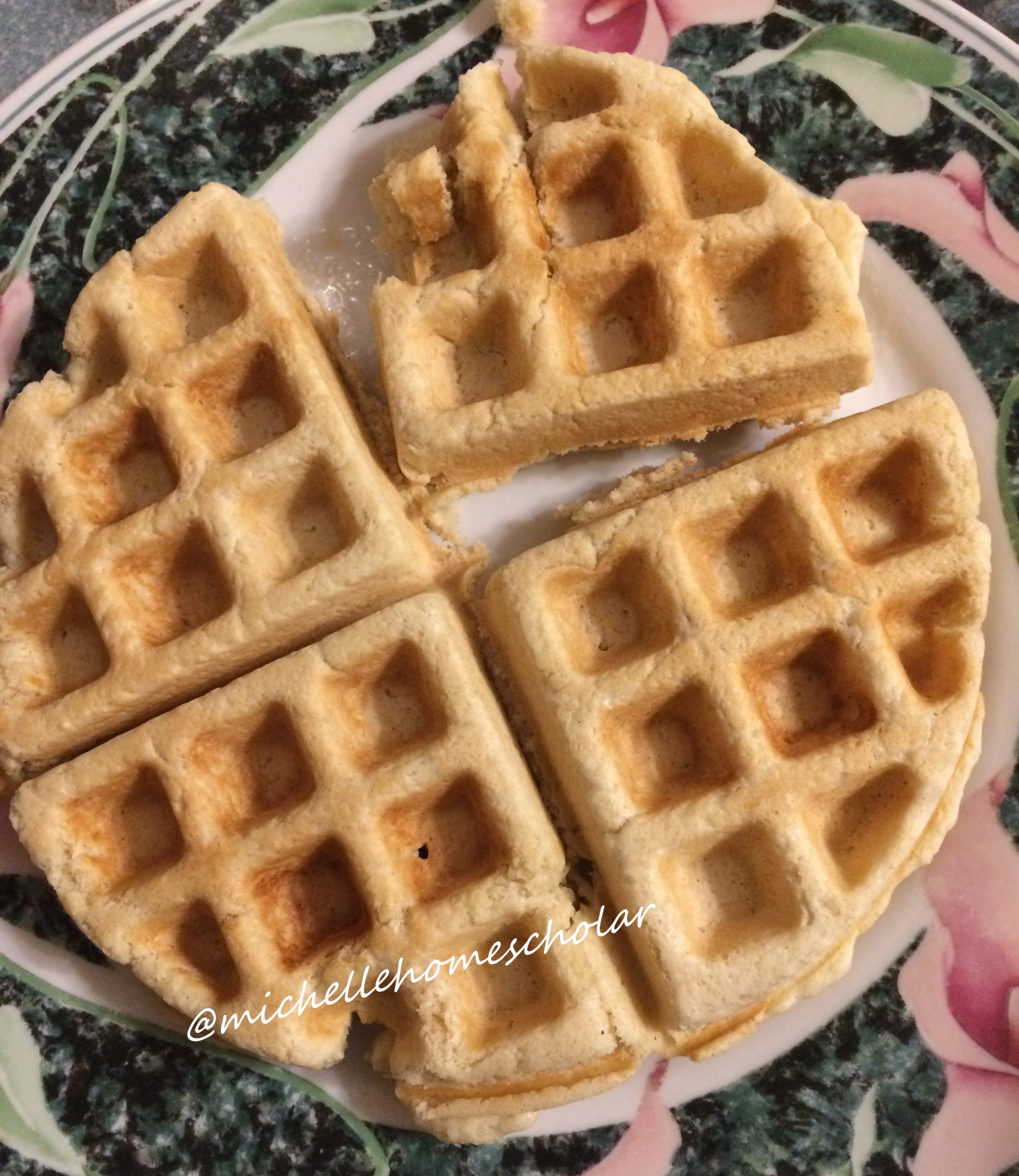 Grab-and-Go Waffles – Michelle Home Scholar